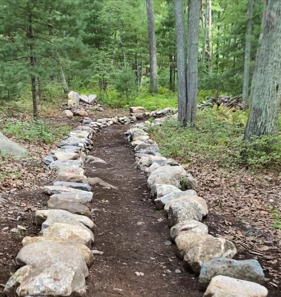 The Leo Project – 9 Lives Notes